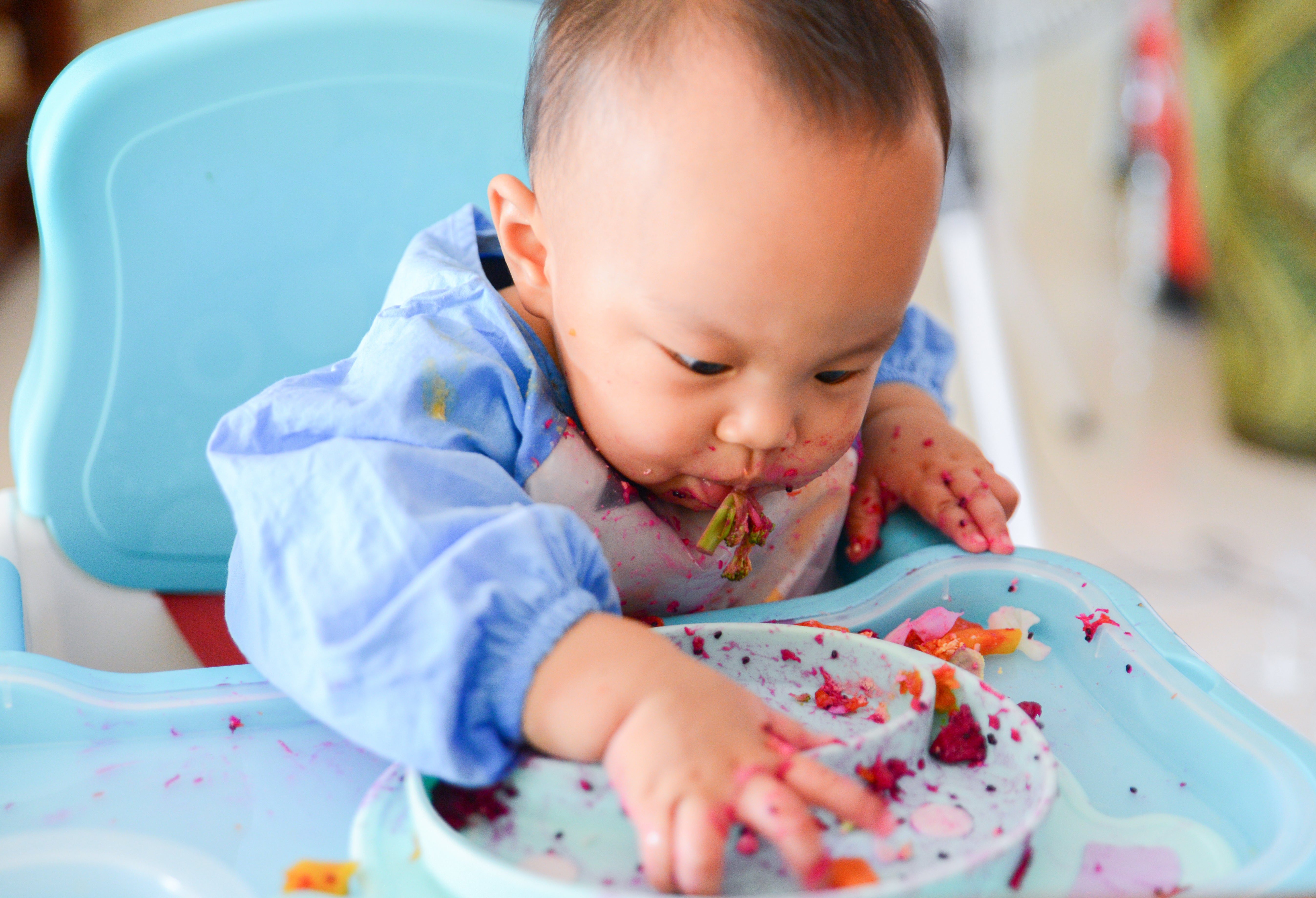 When Is It Safe To Introduce Salt to Your Baby?
